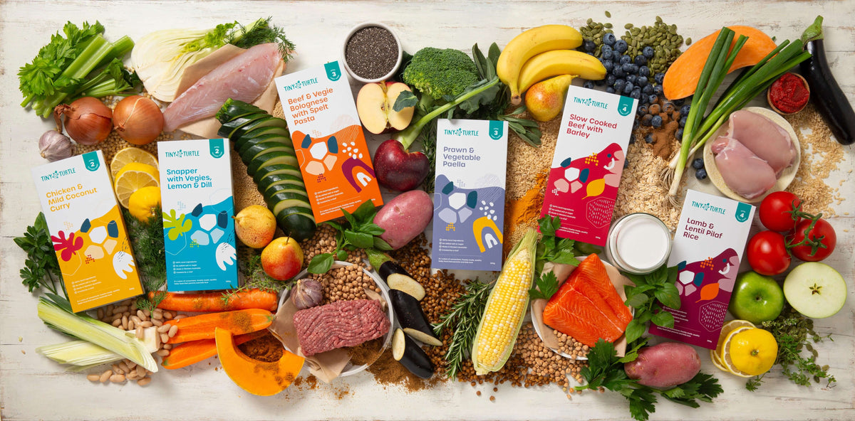 Lumpy Purees 8 months + – Tiny Turtle Baby Food