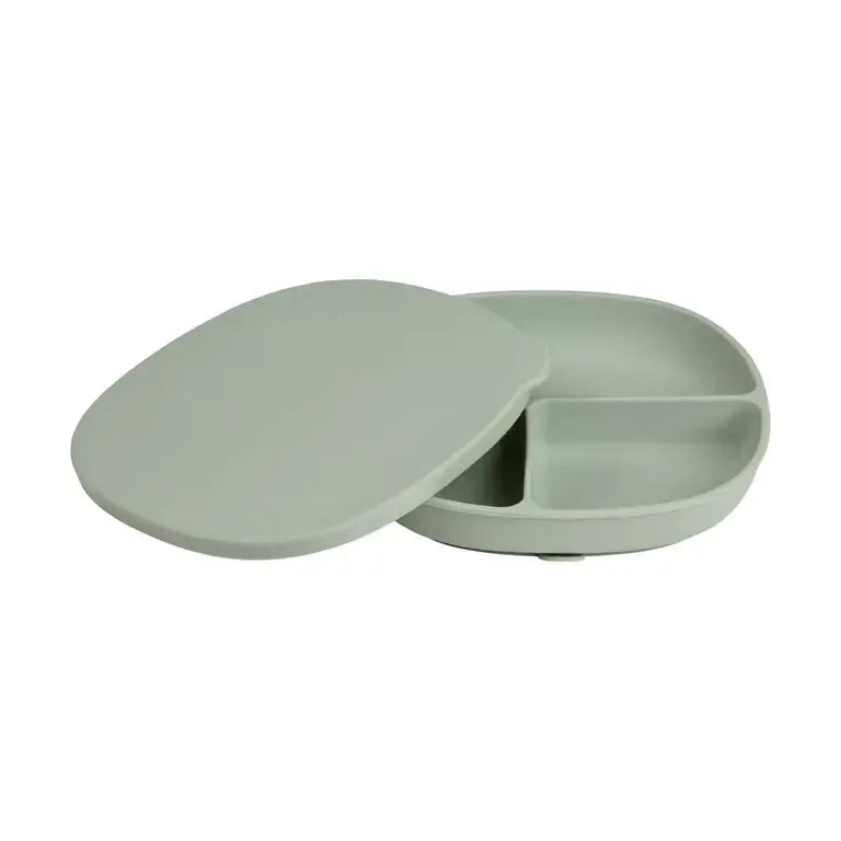 Bbox Silicone Plate and Lid - Perfect for Little Eaters – Tiny Turtle